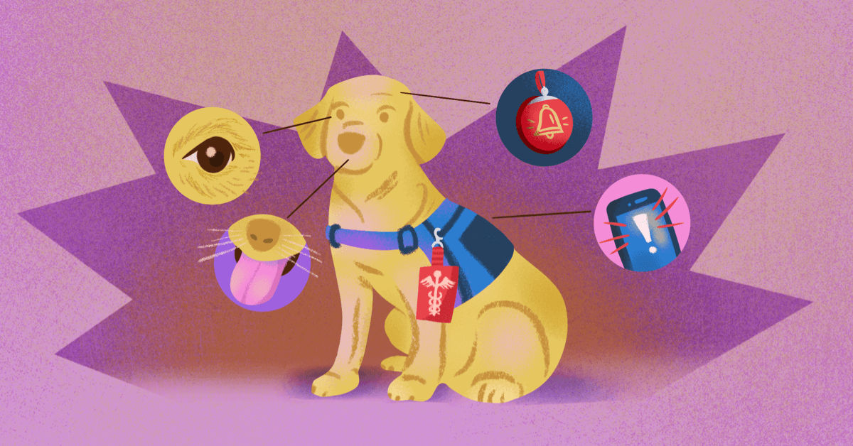 Training A Service Dog to Alert to Narcolepsy Symptoms